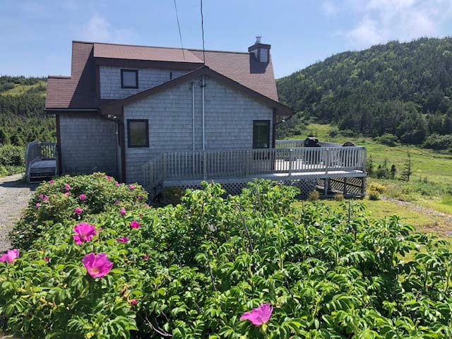 Champney's East, Trinity Bight