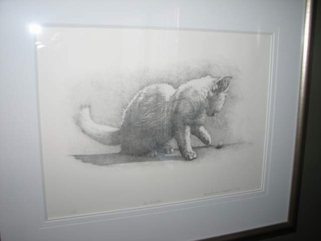 Helen Shepherd The Feather